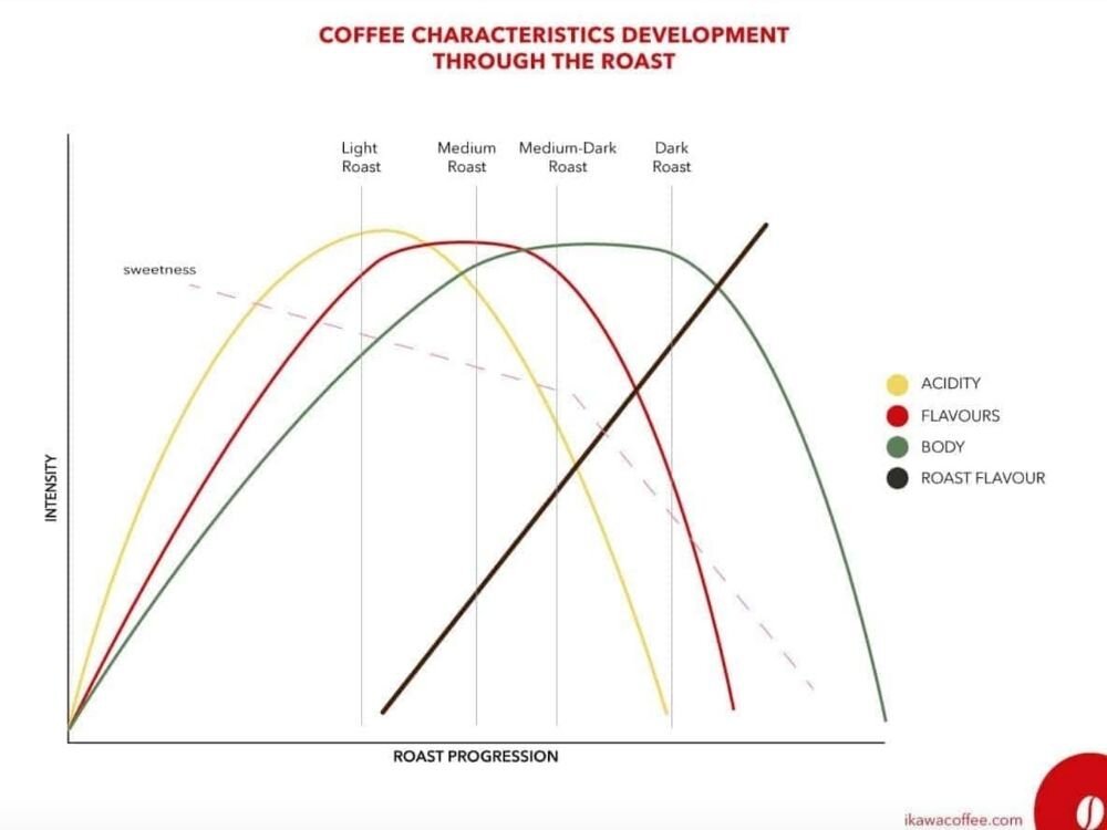 What Are The Different Types Of Coffee Roast? From Light to Dark ...